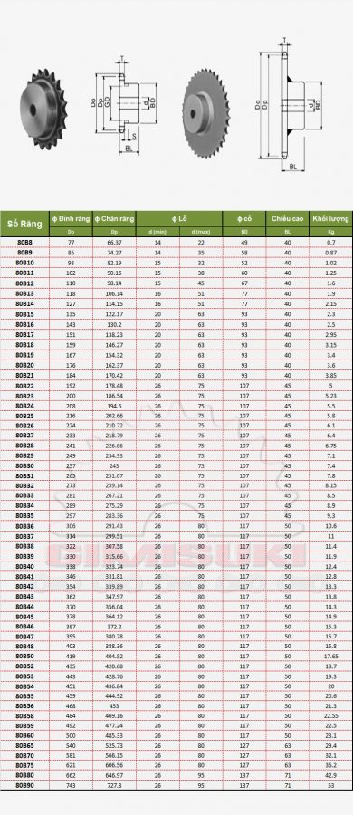 Nhông xích 80 – Gimisuki.vn