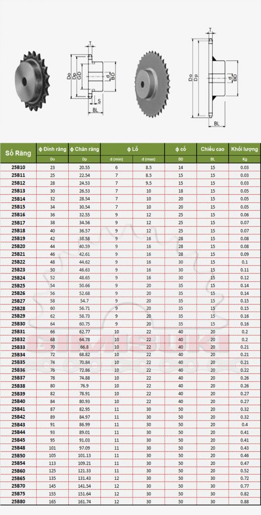 Nhông xích 25 – Gimisuki.vn